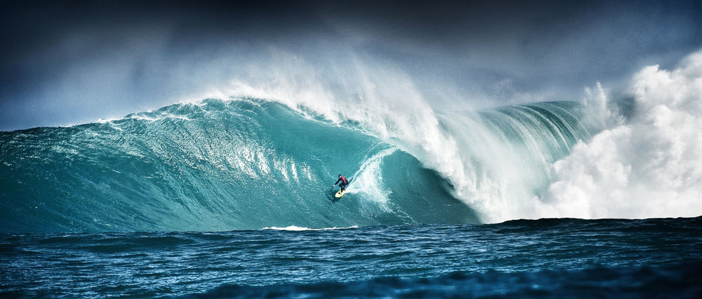 The Journal | Culture & Pioneers | WildBounds