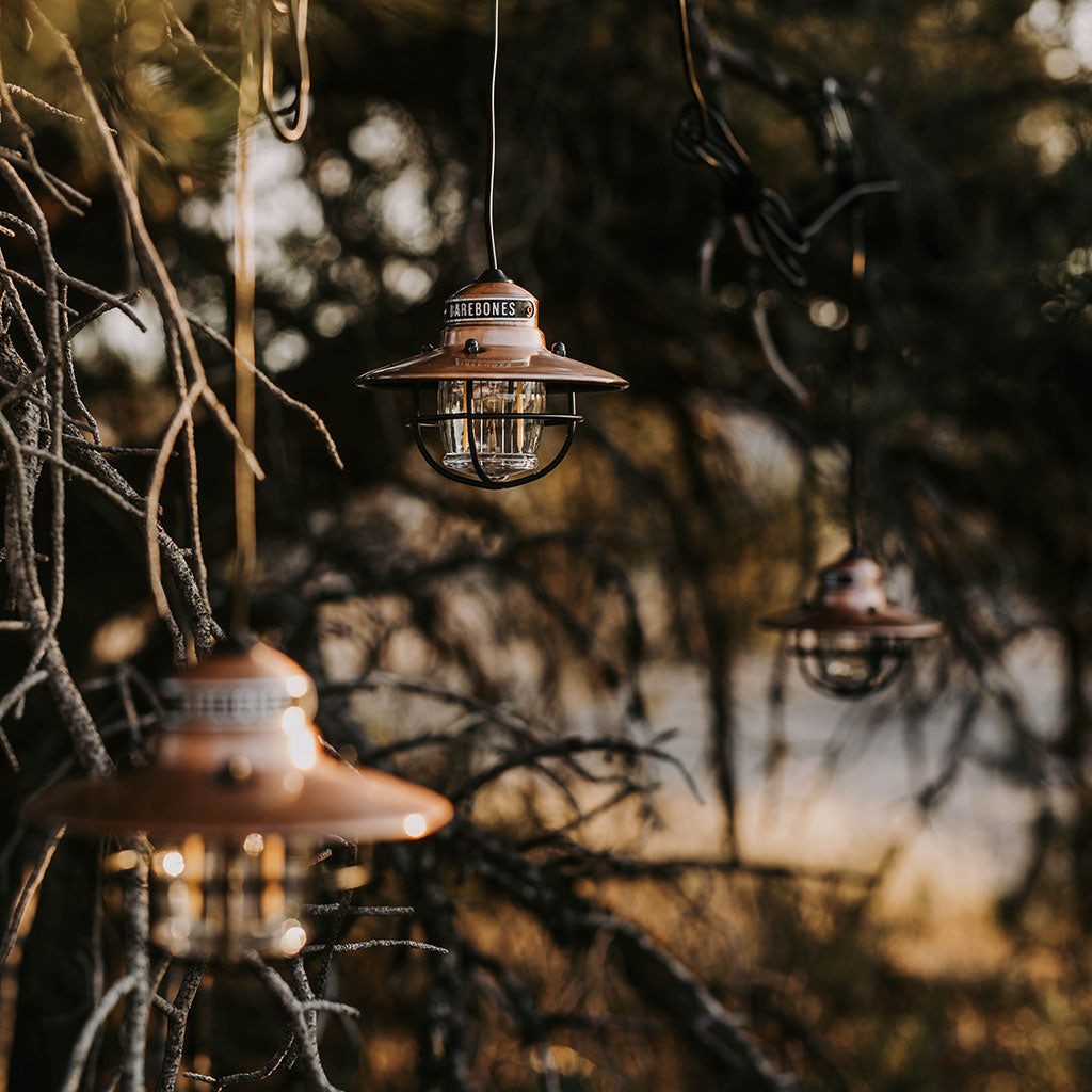 Barebones Living | Edison String Lights | Vintage Lights | Copper - WildBounds