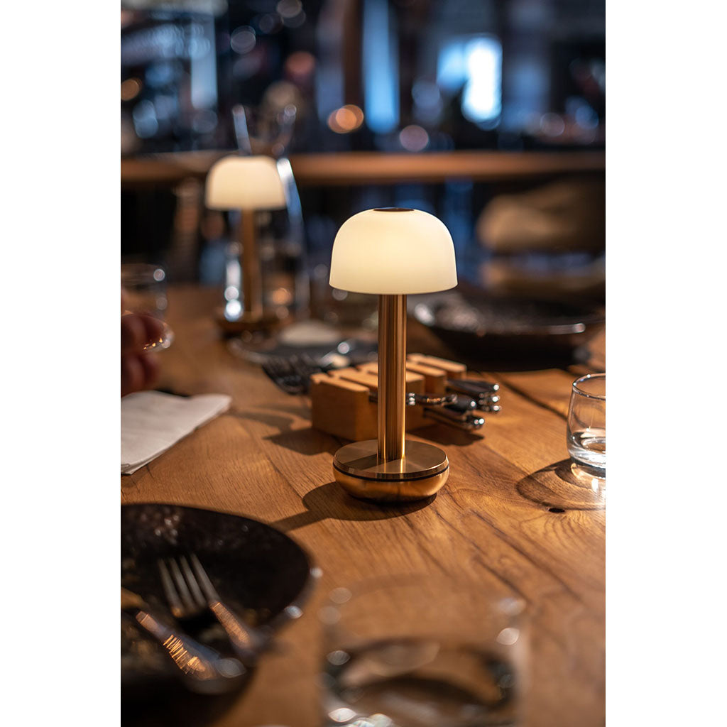 Humble Lights | Two Table Light | Gold Glass Frosted | Cordless Lamp ...