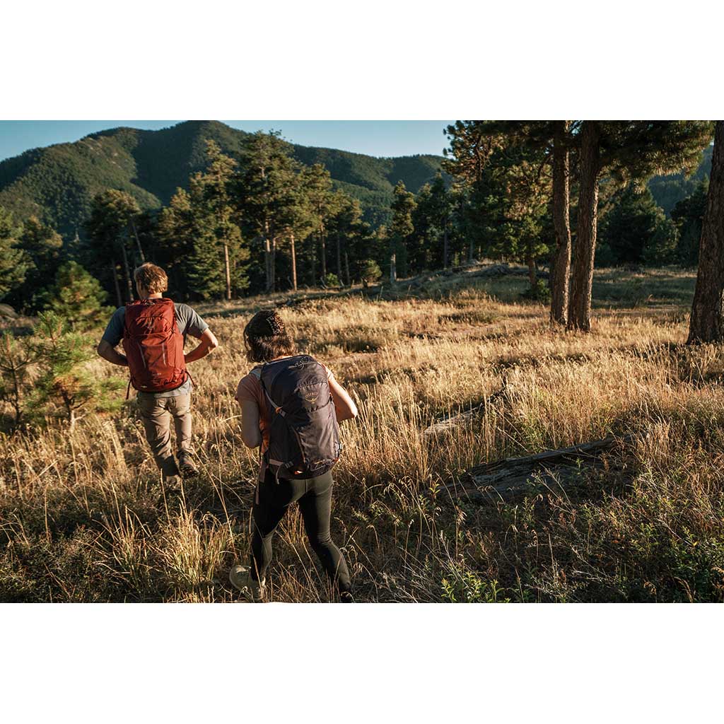 Osprey | Hikelite 28 | Daypack | Graphite Purple | WildBounds UK