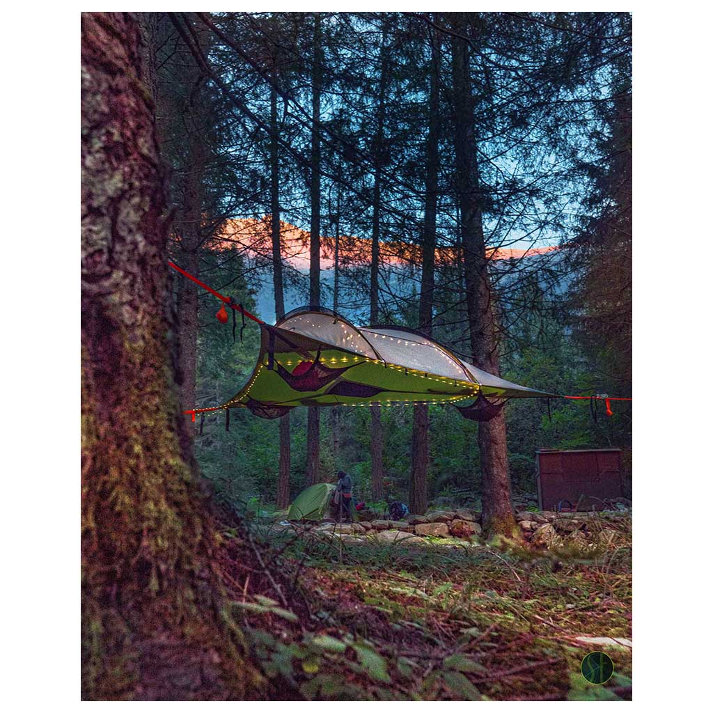Tentsile | Stingray Tree Tent | 3 Person | Dark Grey | WildBounds