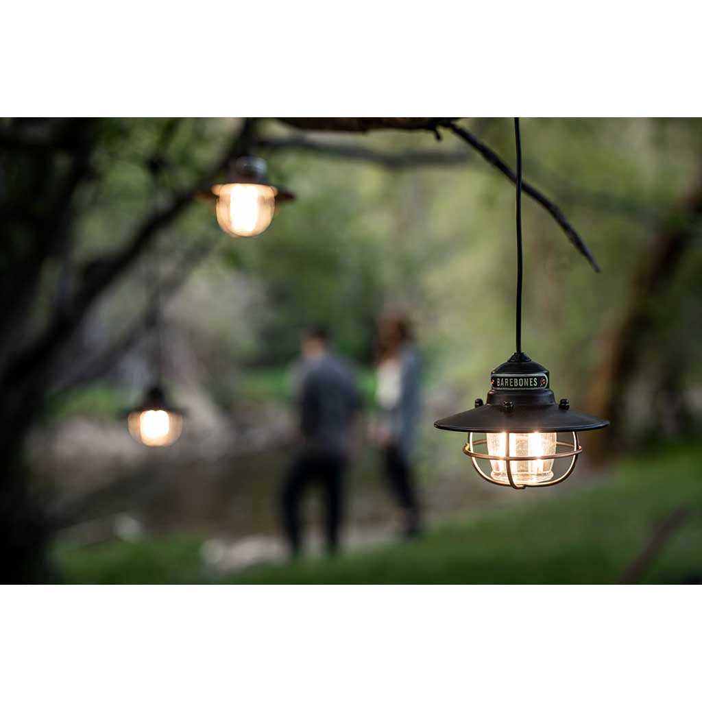 Barebones Living | Edison String Lights | Vintage Lights | Bronze - WildBounds