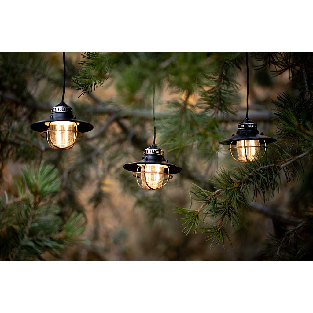 Barebones Living | Edison String Lights | Vintage Lights | Bronze ...