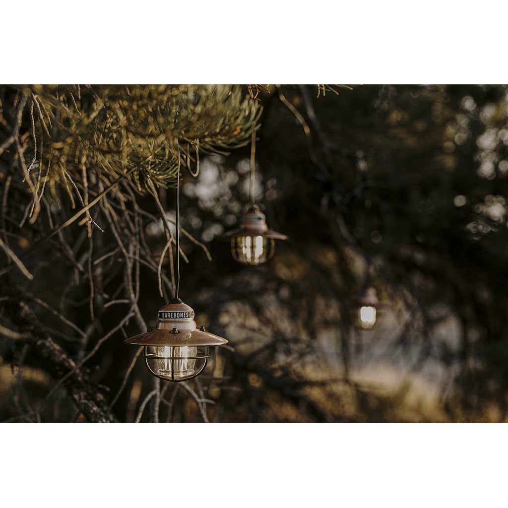 Barebones Living | Edison String Lights | Vintage Lights | Copper - WildBounds