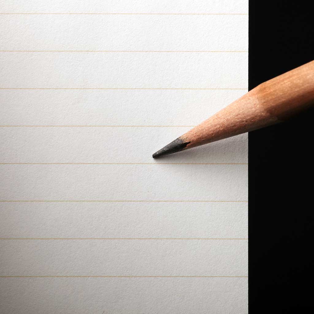 Field Notes | Original Kraft Memo Book | Ruled 3-Pack Notebook - WildBounds