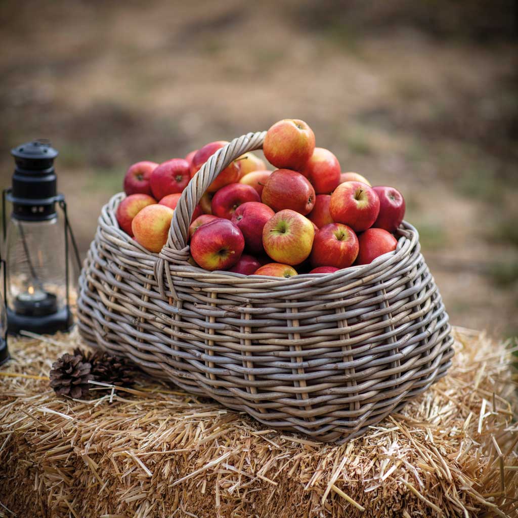 Garden Trading | Bembridge Forage Basket | Wicker Basket | WildBounds