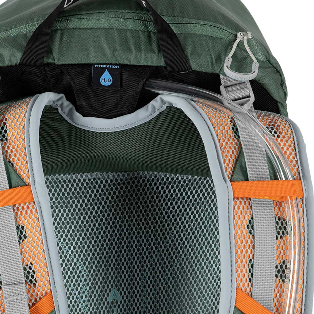 Osprey | Hikelite 26 Backpack | Daypack | Chameleon/Black | WildBounds